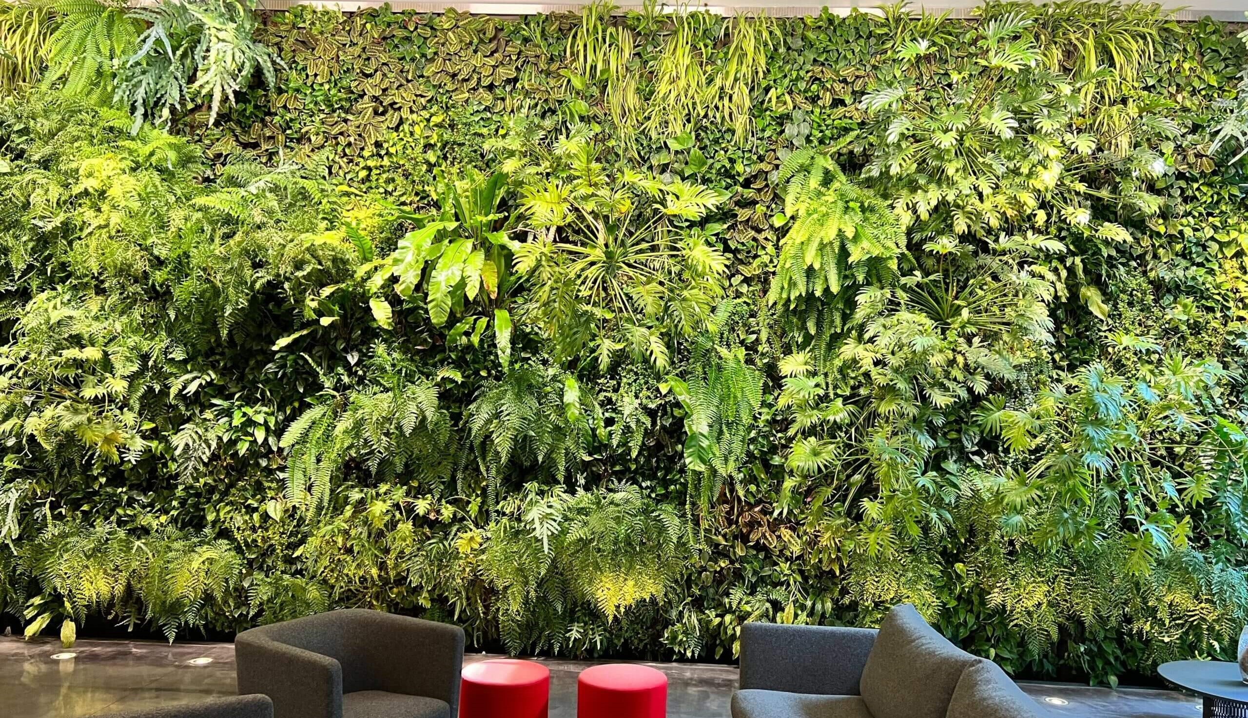 Vertical gardens – Lavraki
